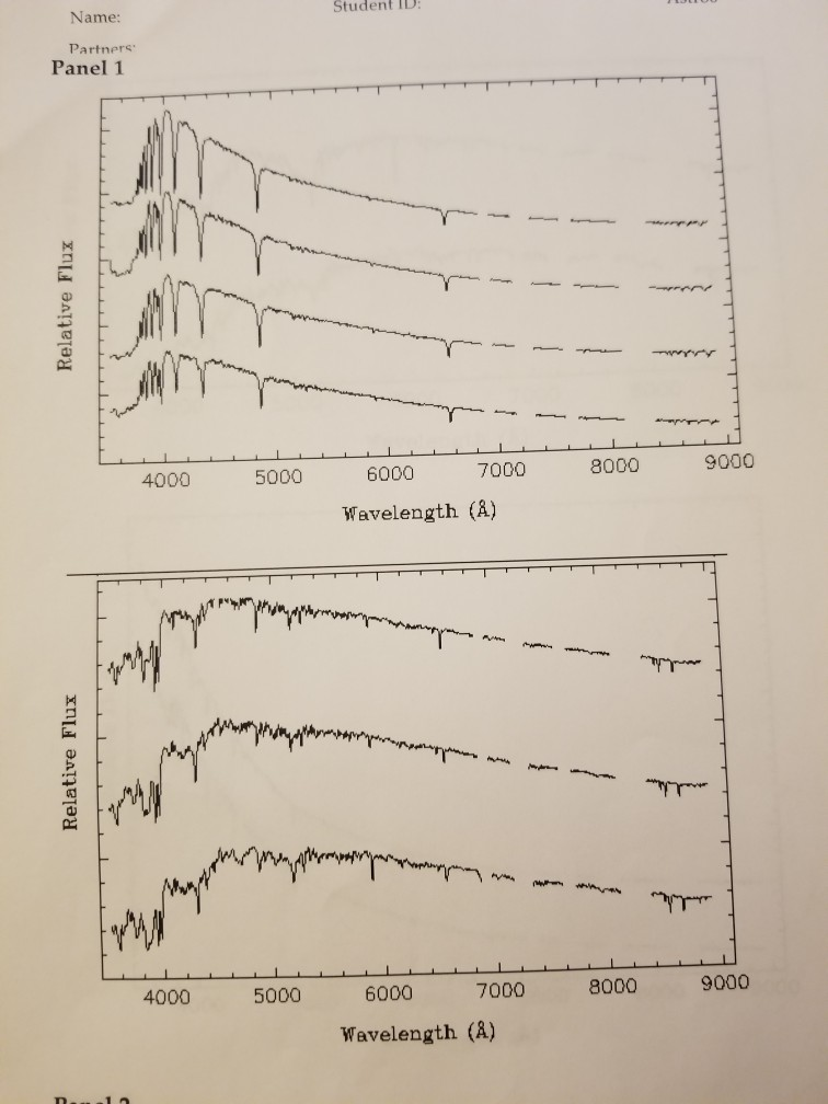 Spectral Classification of Stars We will now learn | Chegg.com