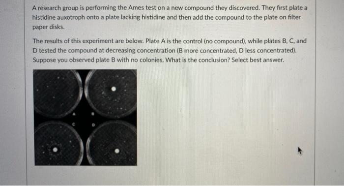 Solved A research group is performing the Ames test on a new | Chegg.com