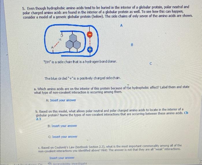 Solved 5. Even though hydrophobic amino adds tend to be | Chegg.com
