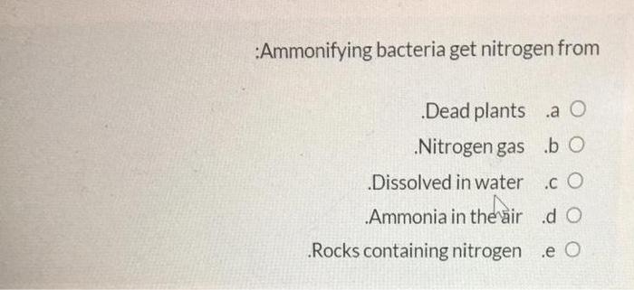 Solved :Ammonifying bacteria get nitrogen from .Dead plants | Chegg.com