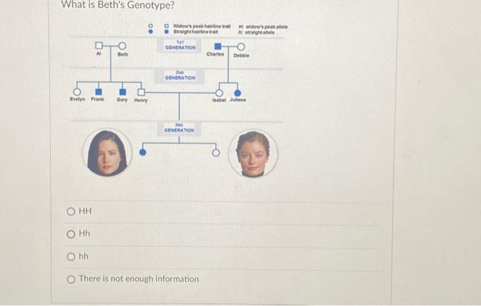 Solved What is Beth's Genotype? Lo HH Evelyn Frank Gary | Chegg.com