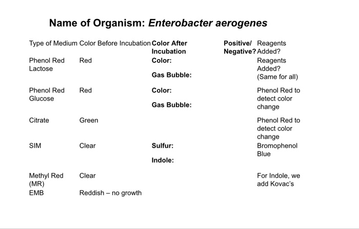 Solved Name of Organism: Enterobacter aerogenes Type of | Chegg.com