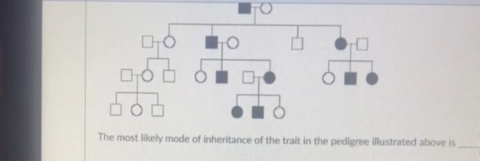 Solved The most likely mode of inheritance of the trait | Chegg.com