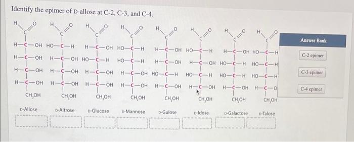 Solved Identify the epimer of D-allose at C-2, C-3, and C-4. | Chegg.com
