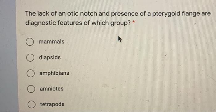 Solved The lack of an otic notch and presence of a pterygoid | Chegg.com