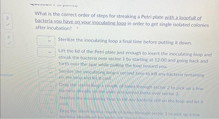 Solved What is the correct order of steps for streaking a | Chegg.com