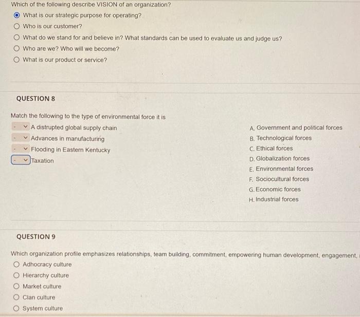 Solved Which of the following describe VISION of an | Chegg.com