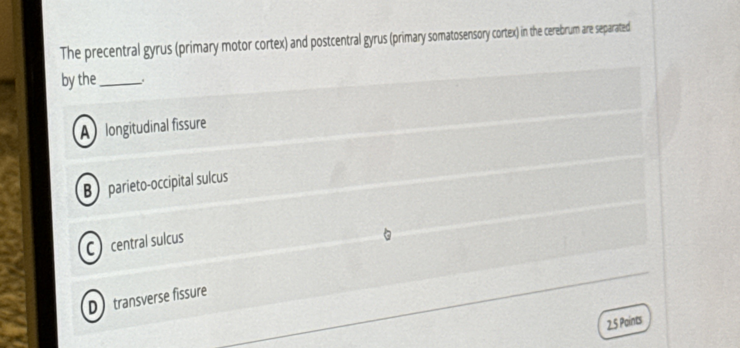 Solved The precentral gyrus (primary motor cortex) ﻿and | Chegg.com