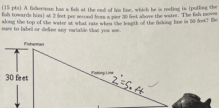 Solved (15 pts) A fisherman has a fish at the end of his | Chegg.com