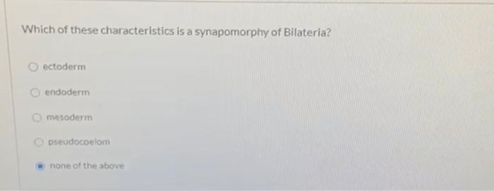 Solved Which of these characteristics is a synapomorphy of | Chegg.com