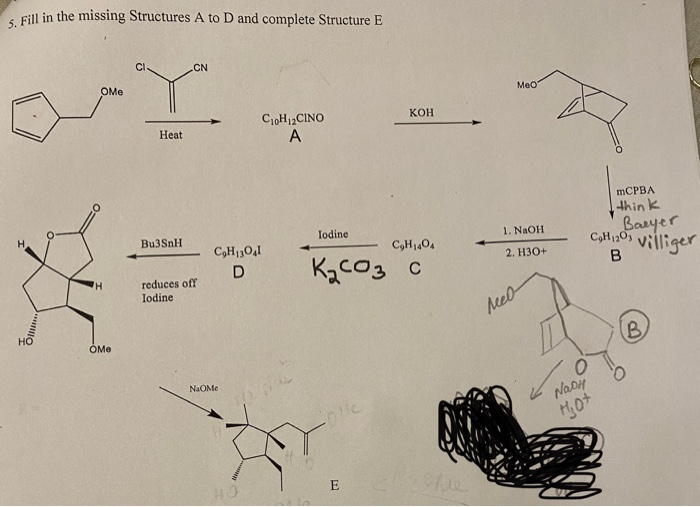 Solved Fill in the missing Structures A to D and complete | Chegg.com
