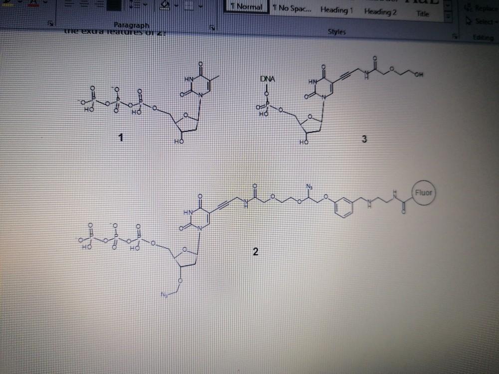 Solved Q6. With the structures shown below, 1 is dTTP, 2 is | Chegg.com
