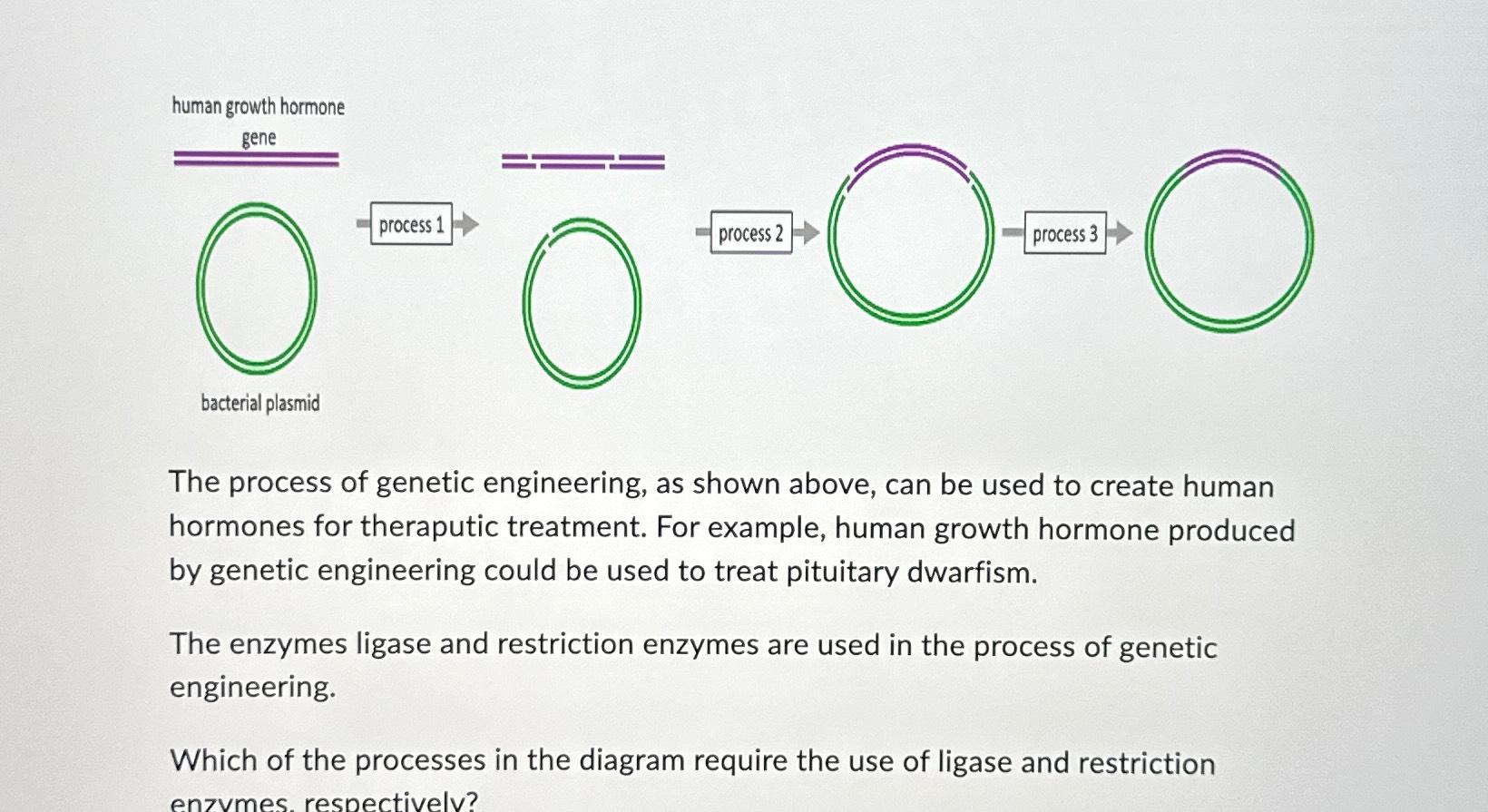 Solved human growth hormonegeneprocess 1bacterial plasmidThe | Chegg.com