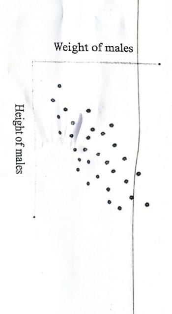 Solved How can you evaluate the relationship between height | Chegg.com