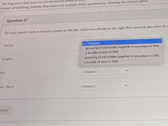 Solved • Answer all matching, multiple drop-down and | Chegg.com