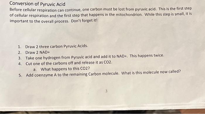 Solved Conversion of Pyruvic Acid Before cellular | Chegg.com