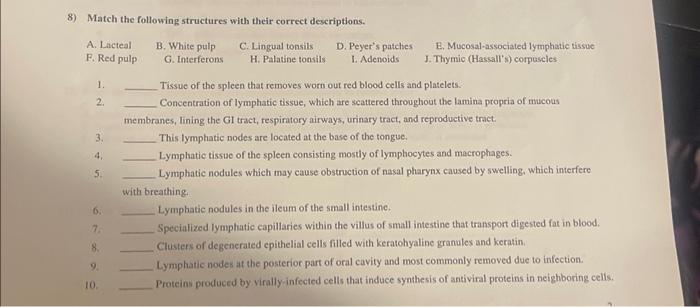 Solved 8) Match the following structures with their correct | Chegg.com