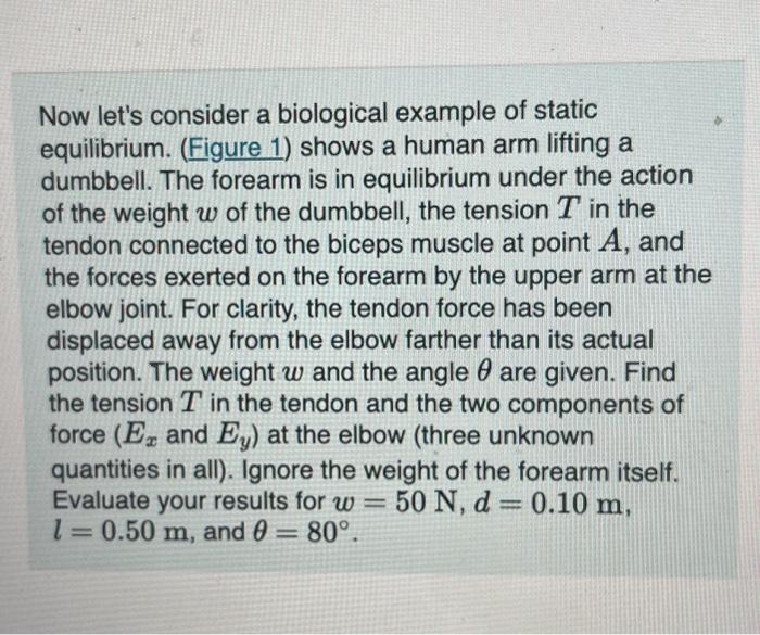 Solved Now let's consider a biological example of static | Chegg.com