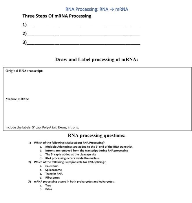 Solved RNA Processing: RNA → mRNA Three Steps Of mRNA | Chegg.com