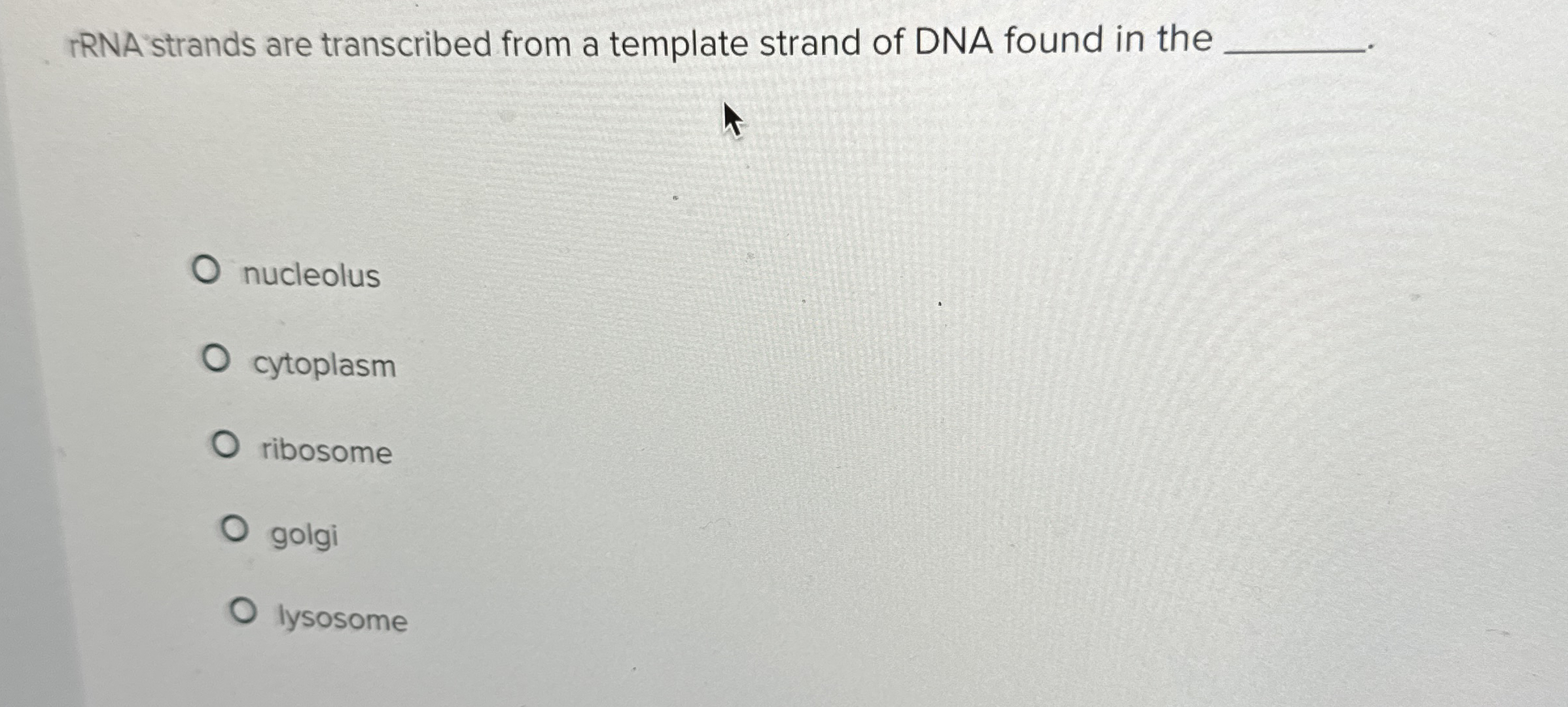 Solved rRNA strands are transcribed from a template strand | Chegg.com