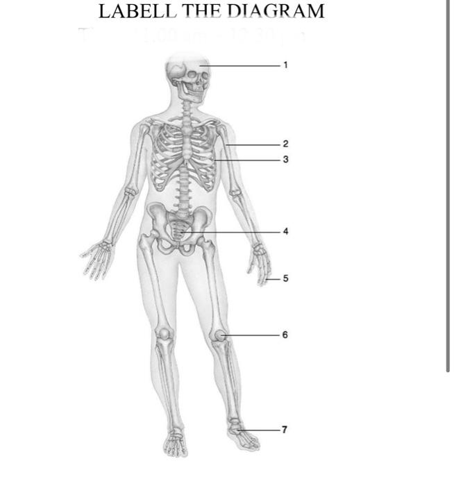 Solved LABELL THE DIAGRAM 2 3 5 OD 7 LABELL THE DIAGRAM 2 | Chegg.com