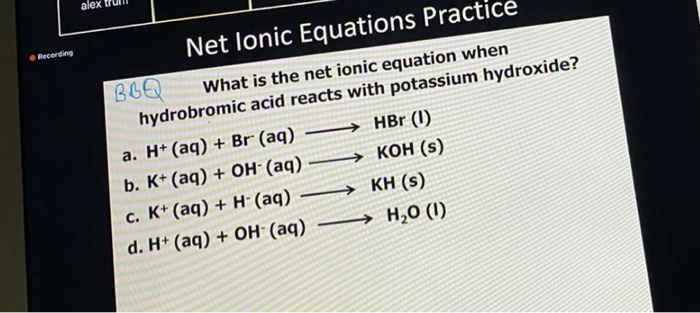 Solved alextrum Recording Net lonic Equations Practice BLE | Chegg.com