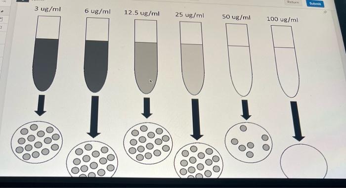 Solved Sed 3 ug/ml 6 ug/ml 12.5 ug/ml 25 ug/ml 50 ug/ml = | Chegg.com