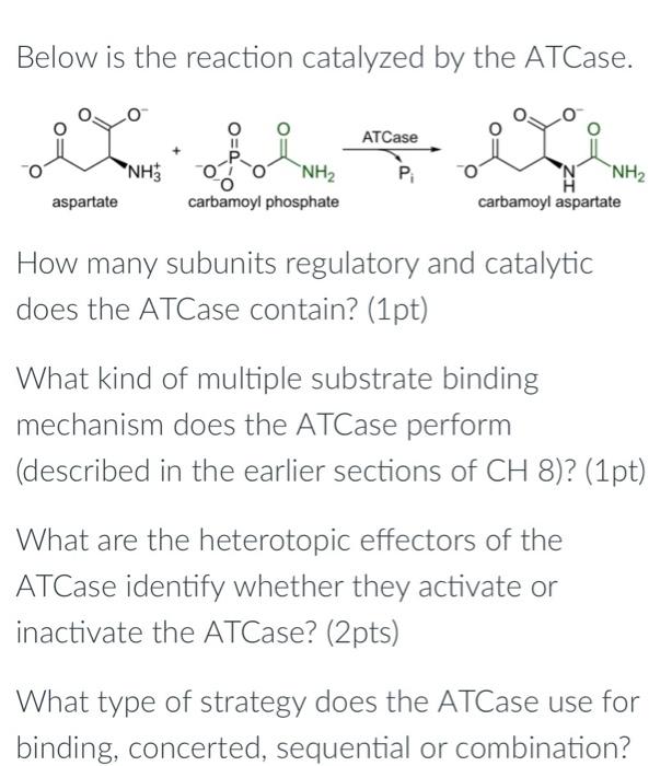 Solved Below Is The Reaction Catalyzed By The Atcase How