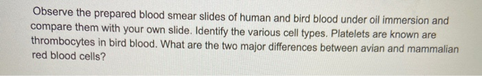 Solved Observe the prepared blood smear slides of human and | Chegg.com