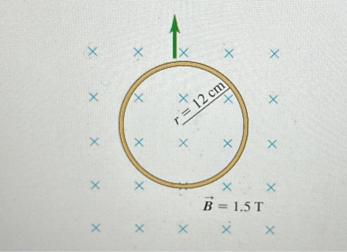 Solved A circular loop of wire with a radius of 12.0 cm is | Chegg.com