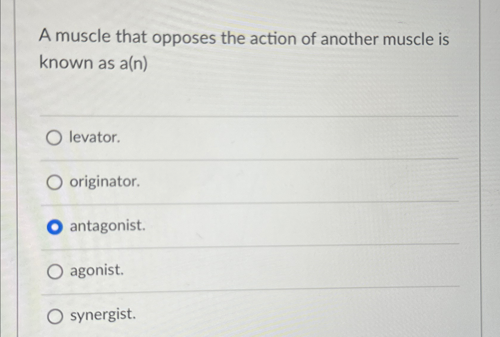 Solved A muscle that opposes the action of another muscle is | Chegg.com