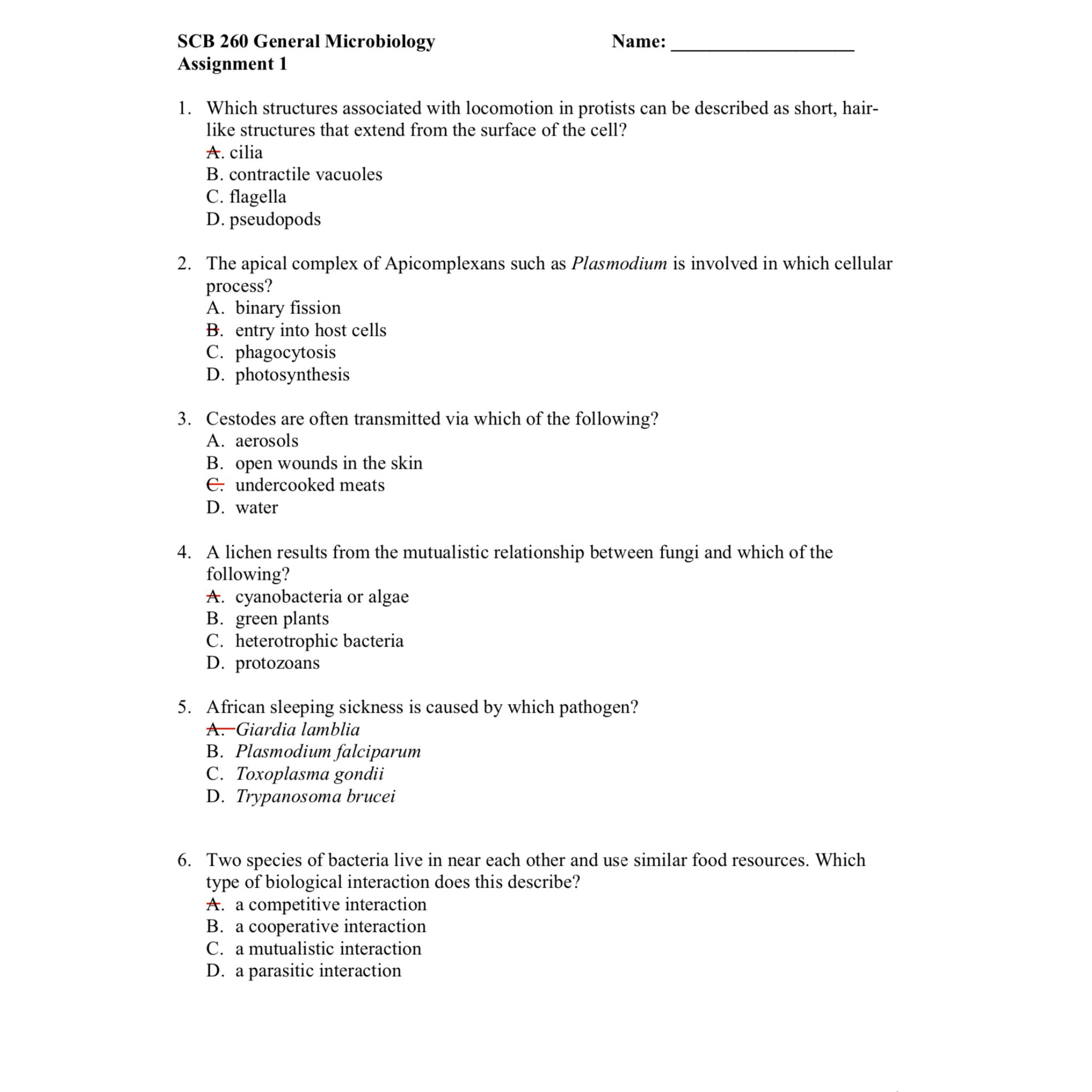 Solved SCB 260 ﻿General MicrobiologyName:Assignment 1Which | Chegg.com