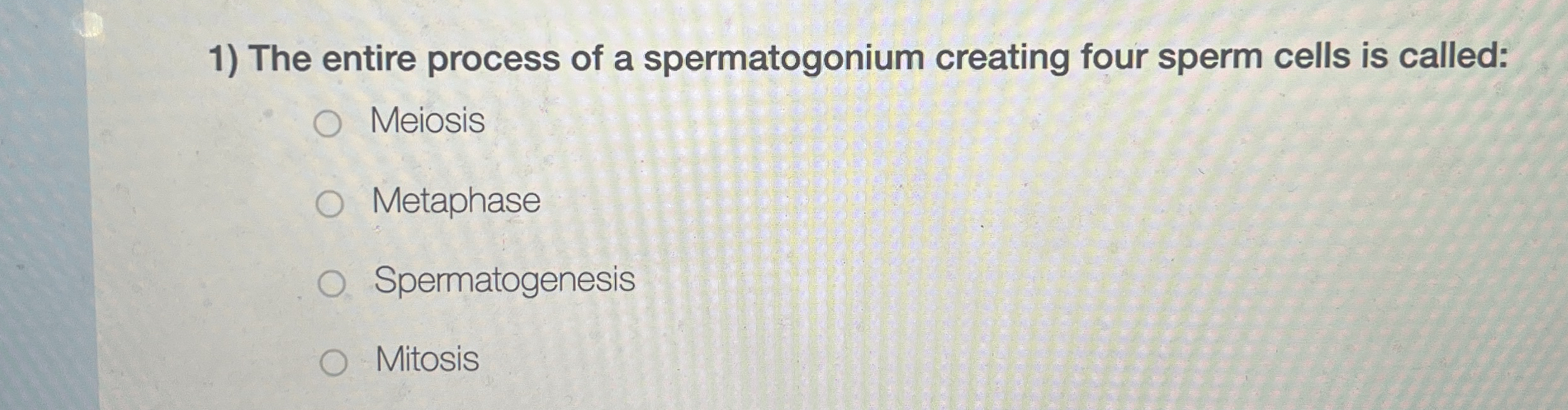 Solved The entire process of a spermatogonium creating four | Chegg.com