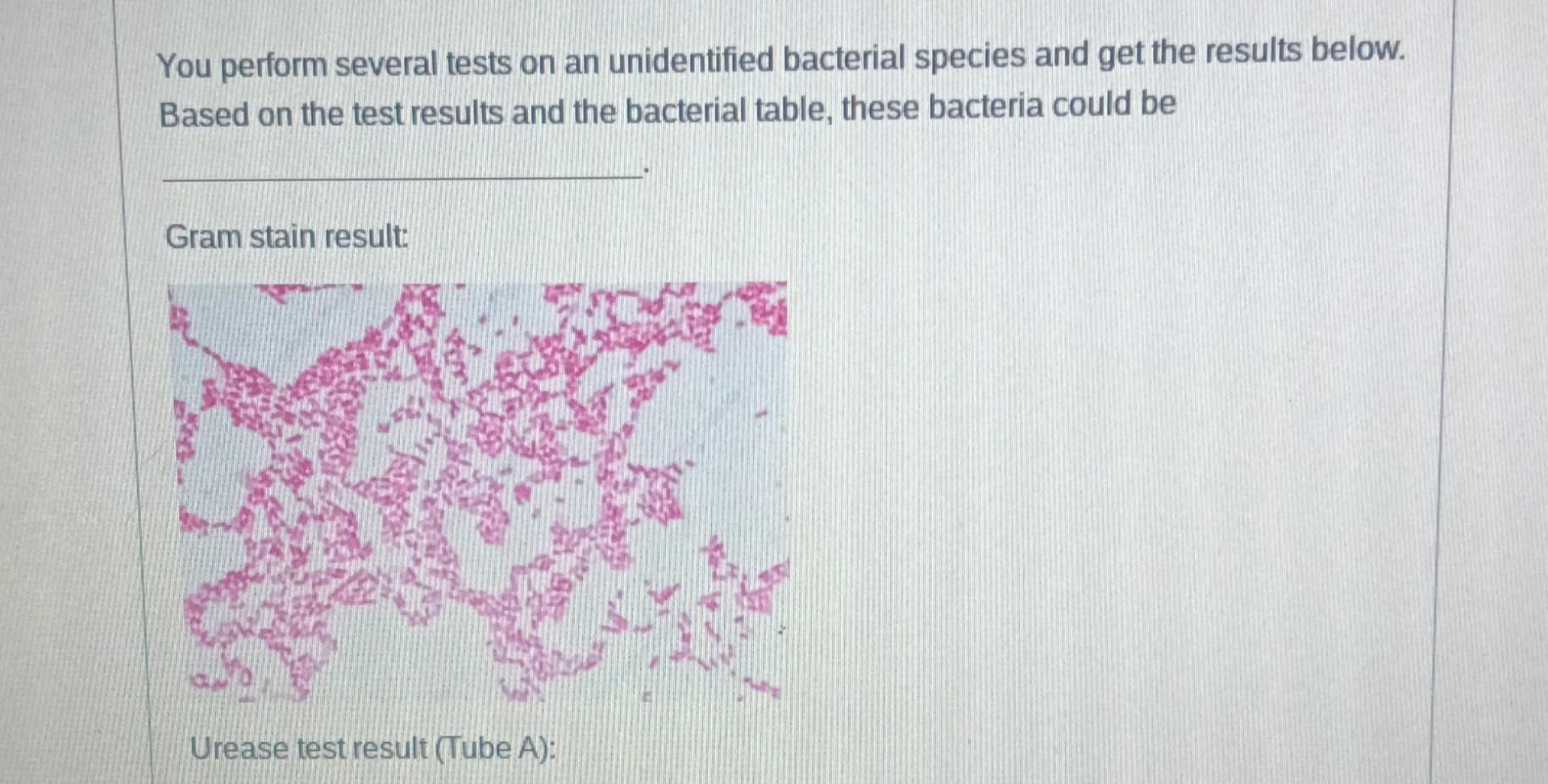 Solved You perform several tests on an unidentified | Chegg.com