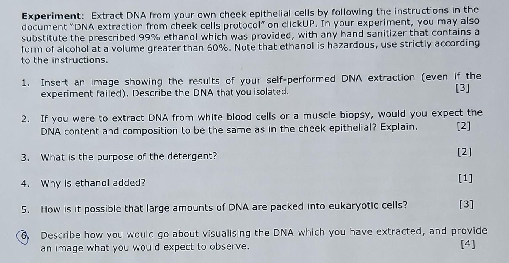 [Solved]: Question 6 Experiment: Extract DNA from your