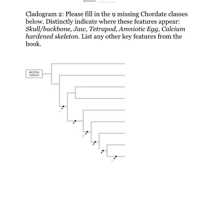Solved Cladogram 2: Please fill in the 9 missing Chordate | Chegg.com