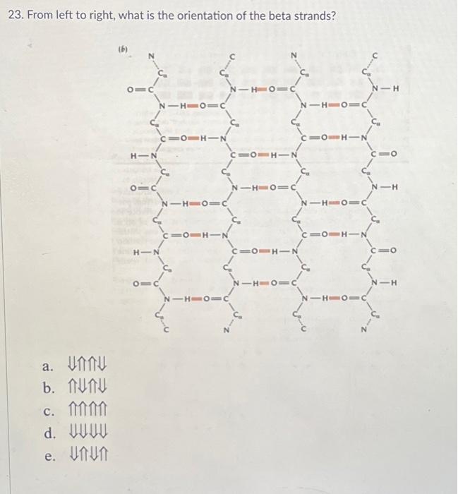 Solved 23. From left to right, what is the orientation of | Chegg.com