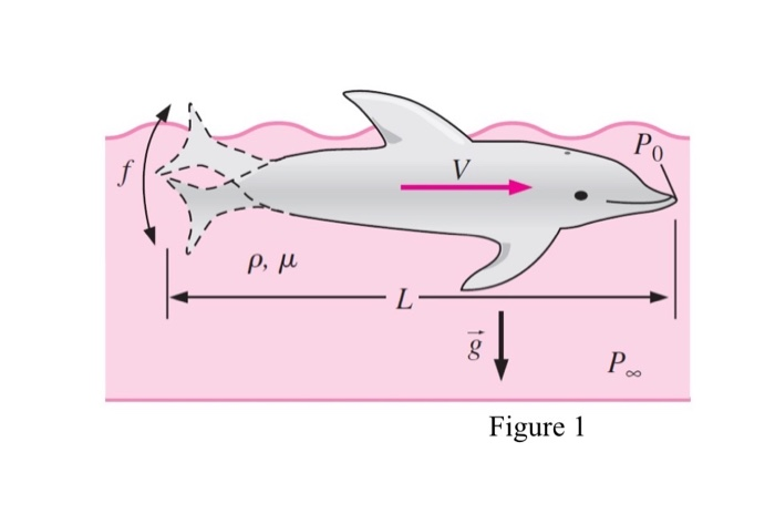 Solved (viii) Using the method of repeating variable and Pi | Chegg.com