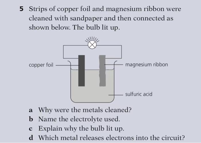 Solved 5 Strips of copper foil and magnesium ribbon were | Chegg.com