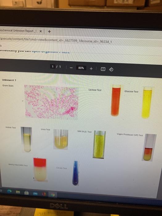Solved this is a biochemical unknown for microbiology. i | Chegg.com