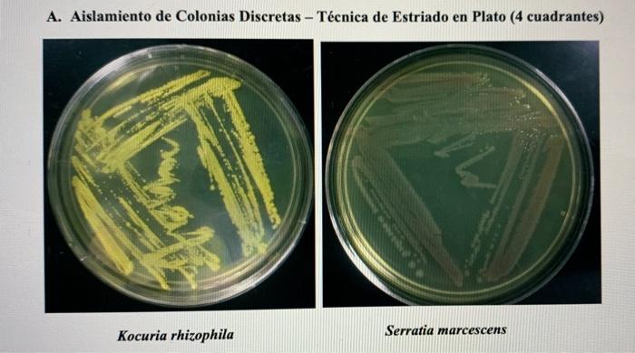 Solved Table 1: Description of the discrete | Chegg.com