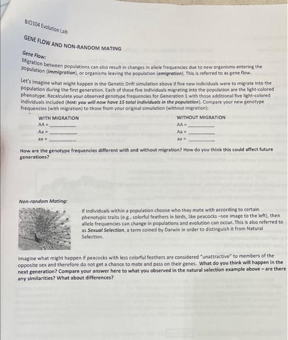 Solved GENE FLOW AND NON-RANDOM MATING Gene Flow: Migration | Chegg.com