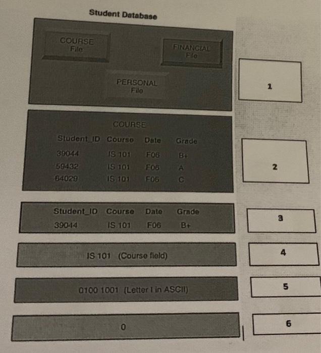 Solved Student Database \begin{tabular}{|c|c|} \hline COUASE | Chegg.com