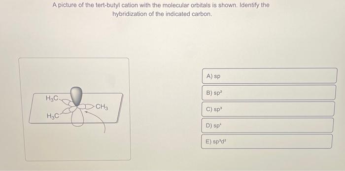 Solved A picture of the tert-butyl cation with the molecular | Chegg.com