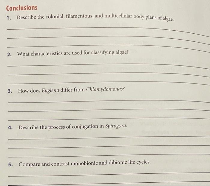 Solved Conclusions 1. Describe the colonial, filamentous, | Chegg.com