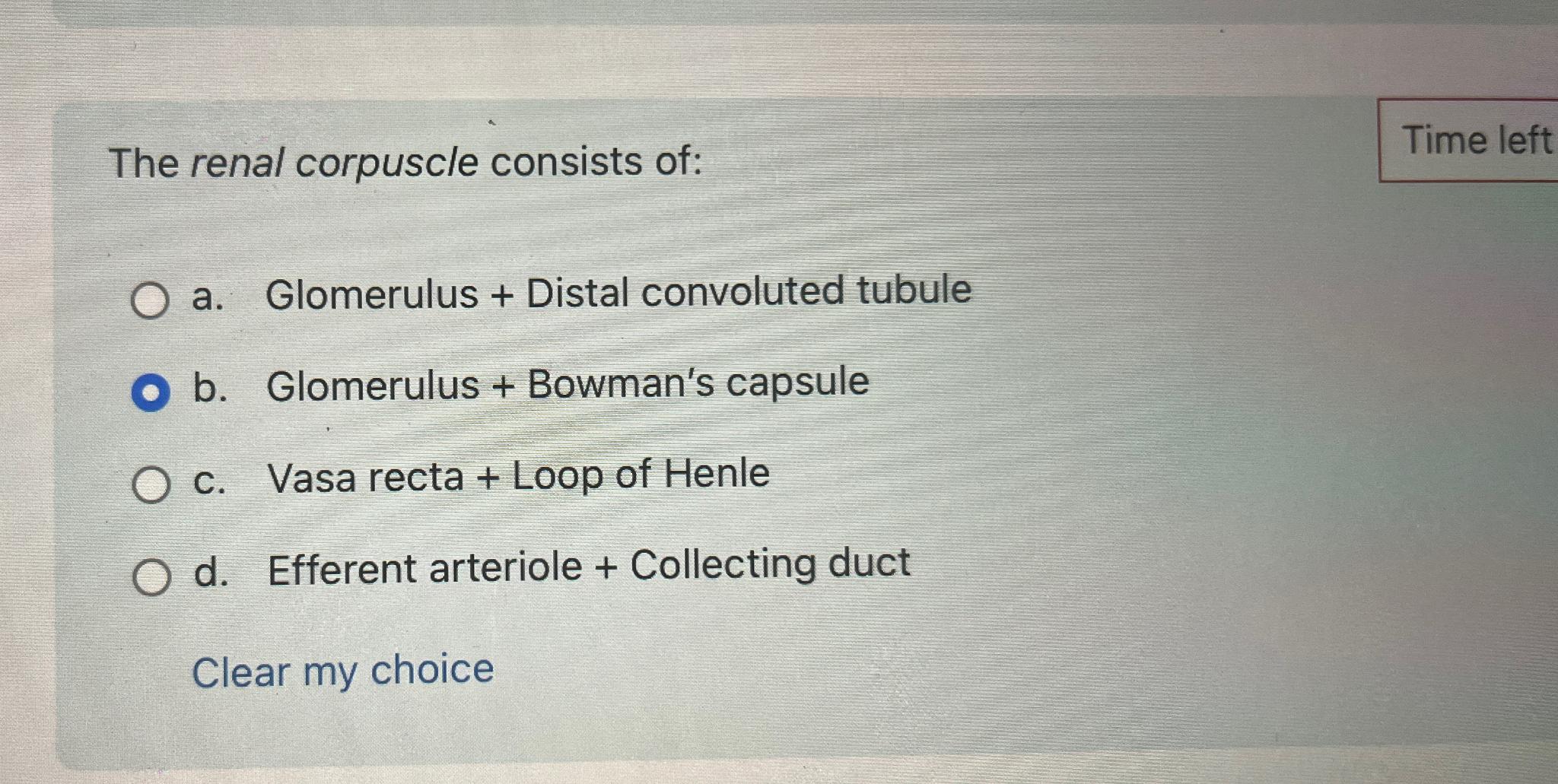 Solved The renal corpuscle consists of:a. ﻿Glomerulus + | Chegg.com