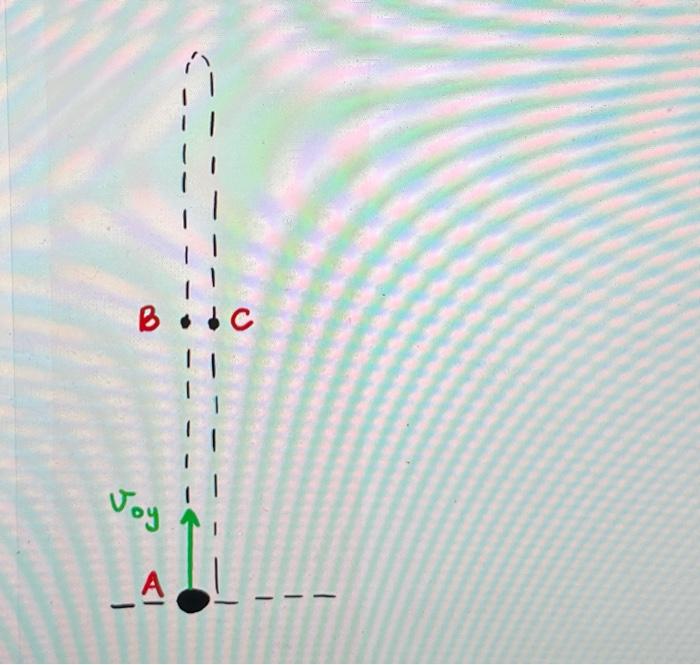 Solved A rock is thrown directly up with an initial velocity | Chegg.com