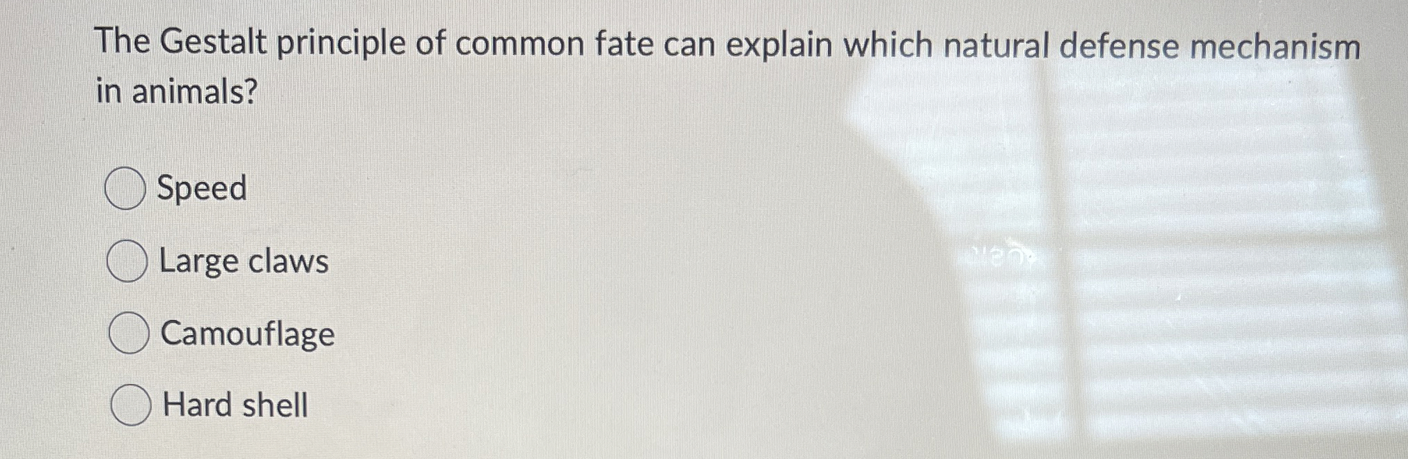 Solved The Gestalt principle of common fate can explain | Chegg.com
