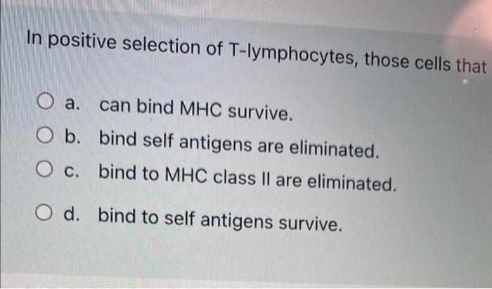 Solved In positive selection of T-lymphocytes, those cells | Chegg.com