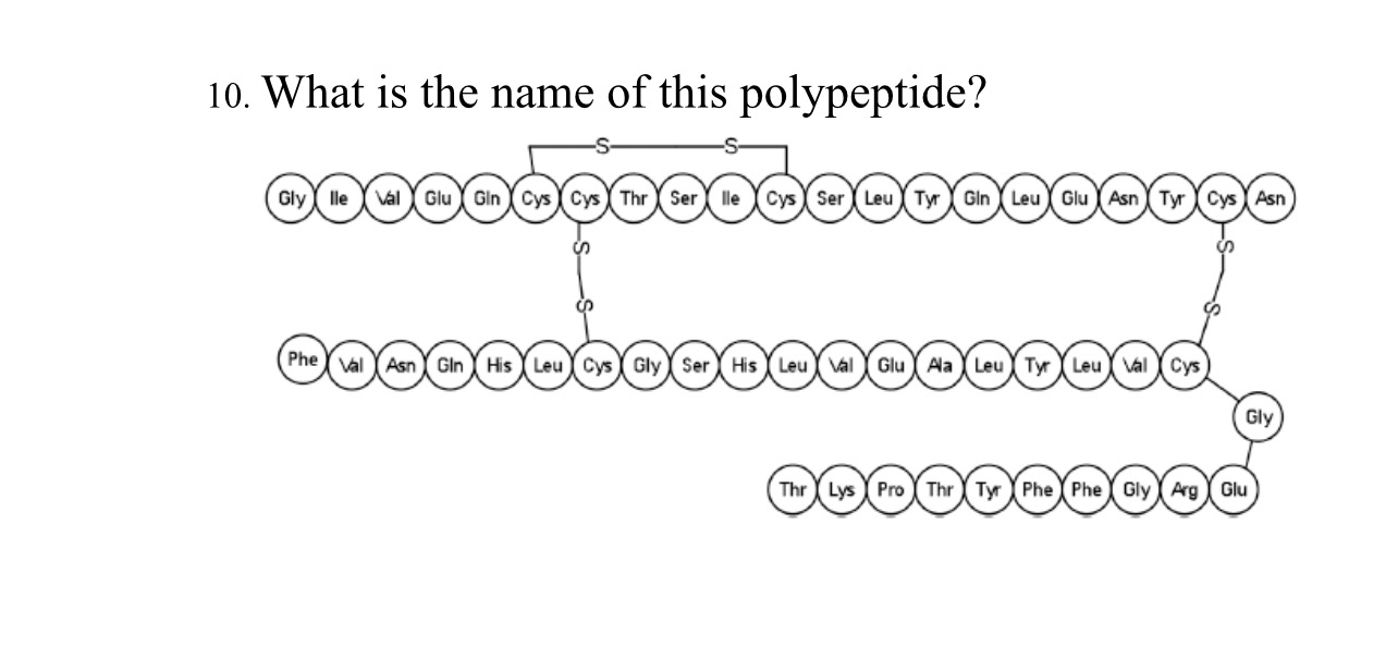 Solved What is the name of this polypeptide? | Chegg.com